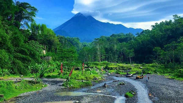 Plunyon Kalikuning: Harga Tiket & Daya Tarik Wisata